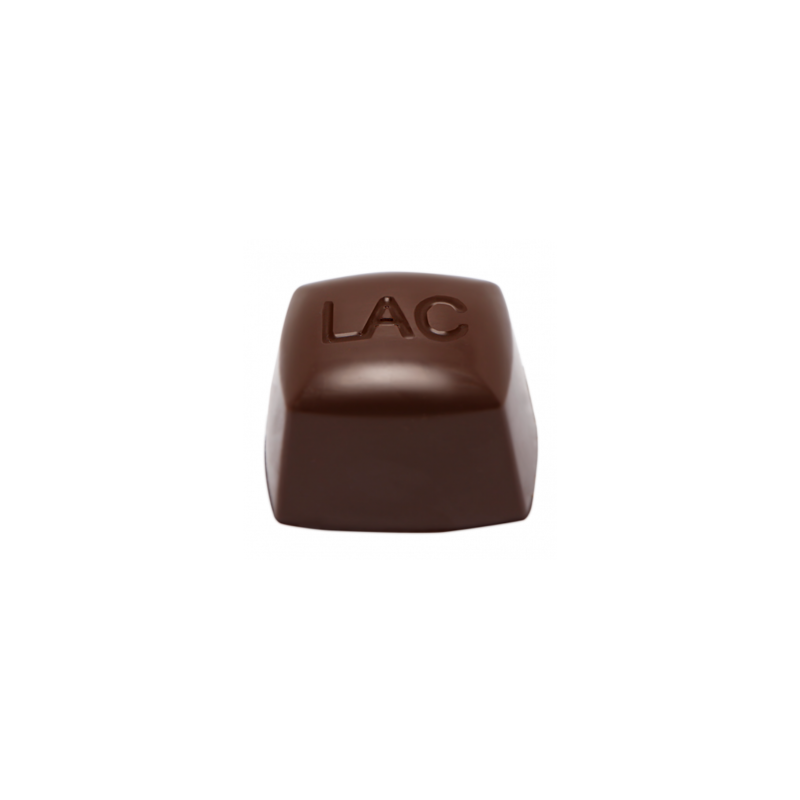 Chocolate Praline - Lac Chocolatier